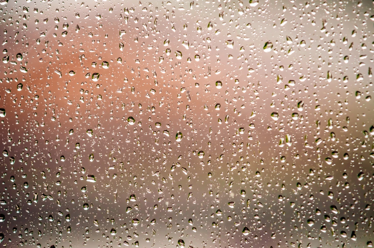 Humidité logement : causes et traitements pour un habitat sain - Immo ...